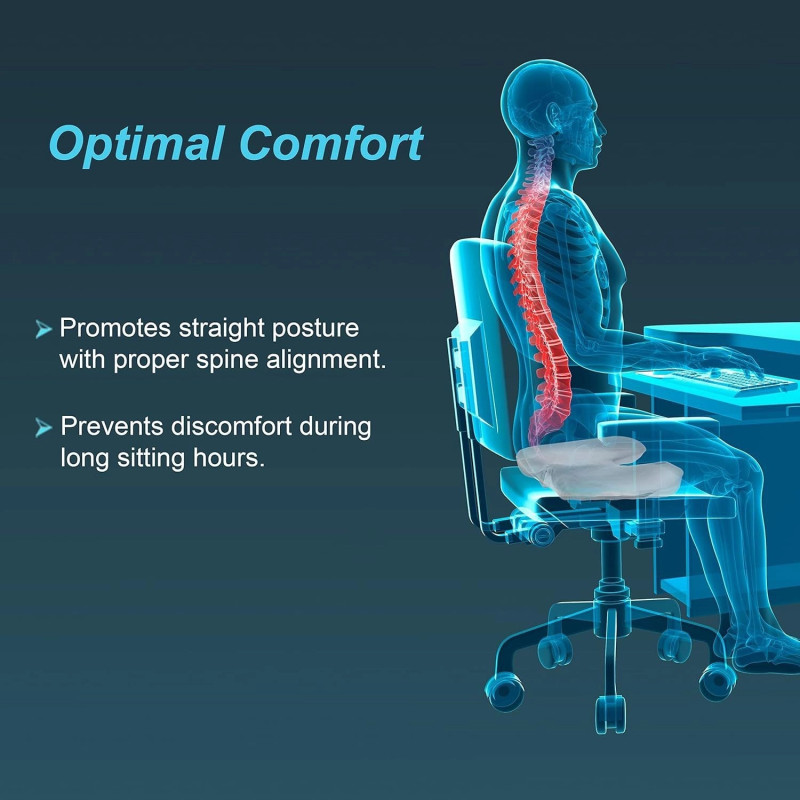 Tynor Ortho Cushion Seat – Back Pain & Tailbone Relief
